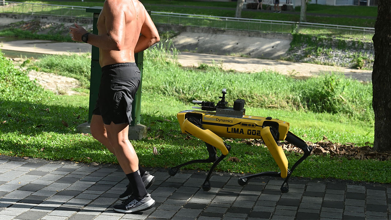 Singapore's Answer To Social Distancing Outdoors Is Completely Bizarre ...