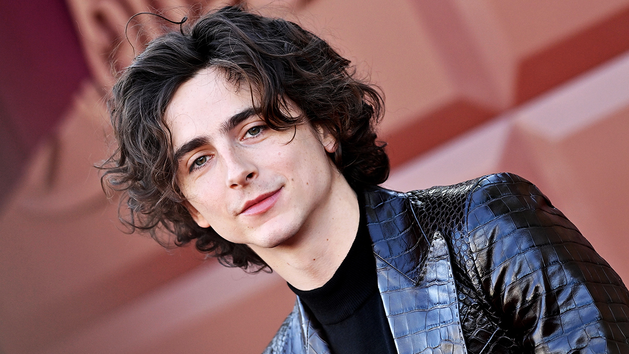 Timothée Chalamet Interstellar Jumper