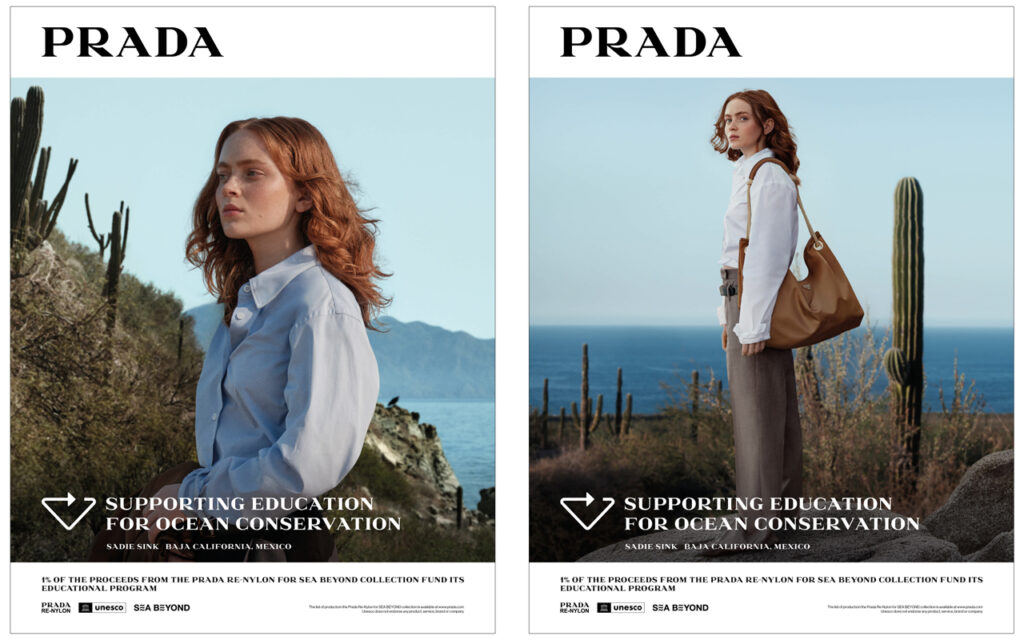 The Ocean’s Vanishing Forests – And Prada’s Mission to Save Them - ICON